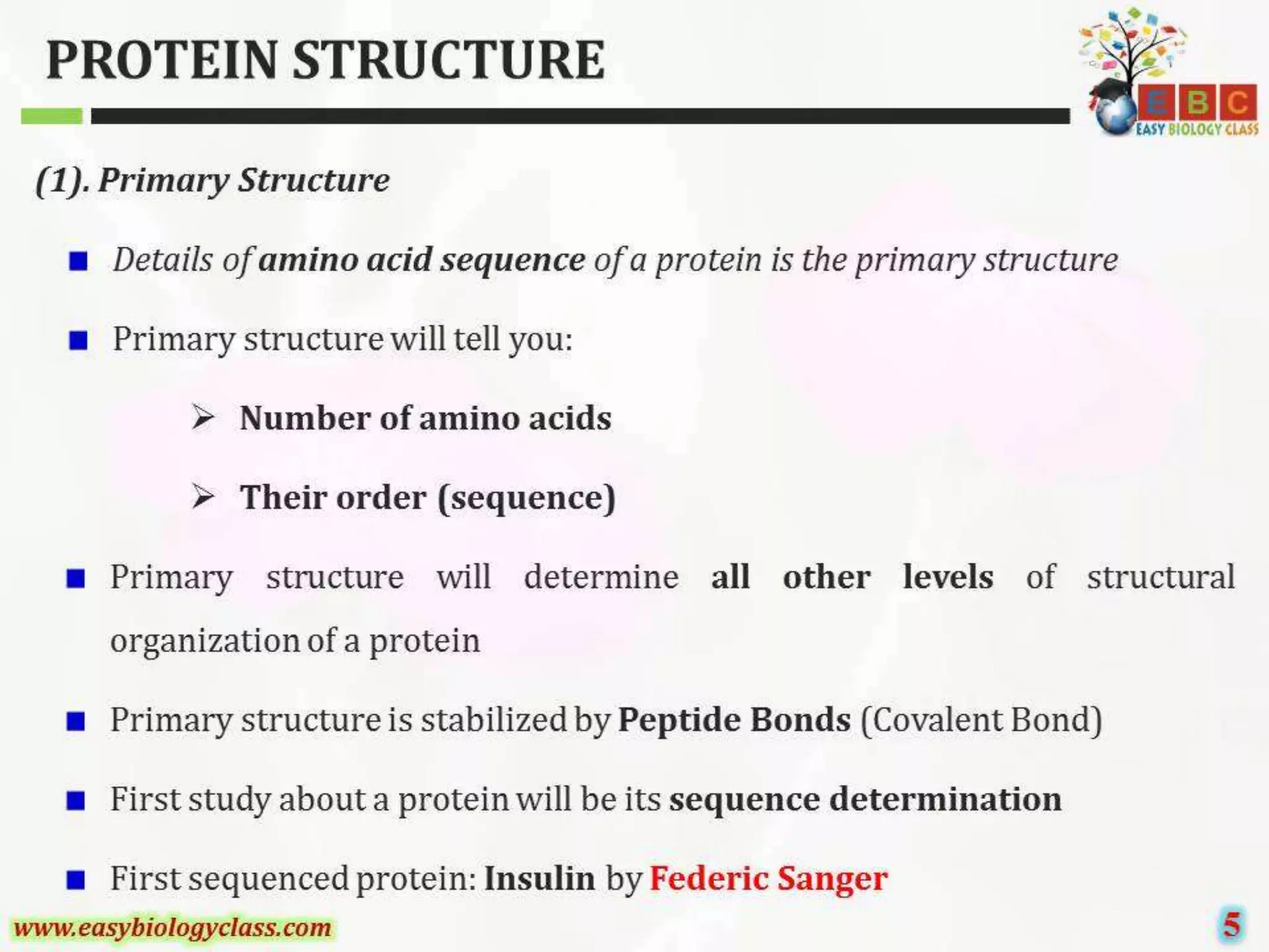 Protein structure-ppt-by-easybiologyclass | PPT