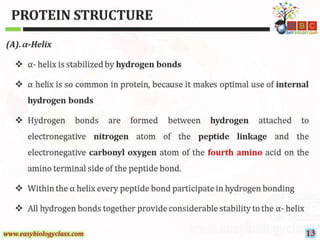 Protein structure-ppt-by-easybiologyclass | PPT