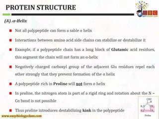 Protein structure-ppt-by-easybiologyclass | PPT