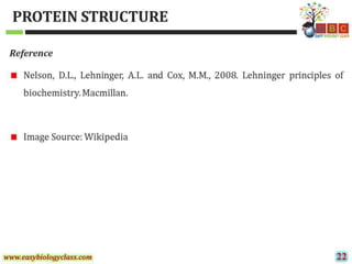 Protein structure-ppt-by-easybiologyclass | PPT