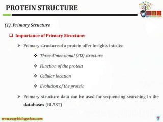 Protein structure-ppt-by-easybiologyclass | PPT