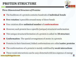 Protein structure-ppt-by-easybiologyclass | PPT