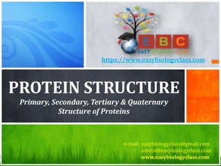 Protein structure-ppt-by-easybiologyclass | PPT