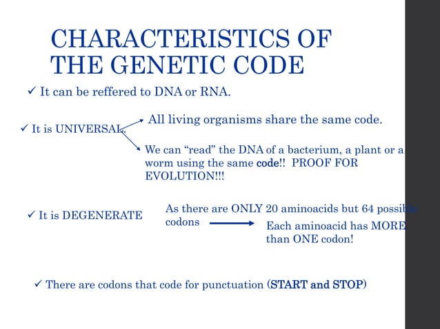 Protein Synthesisppt Programming Languages Computing