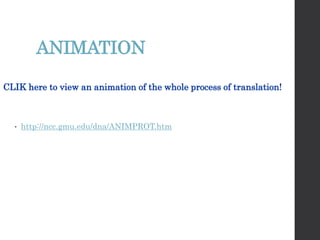 protein-synthesis.ppt