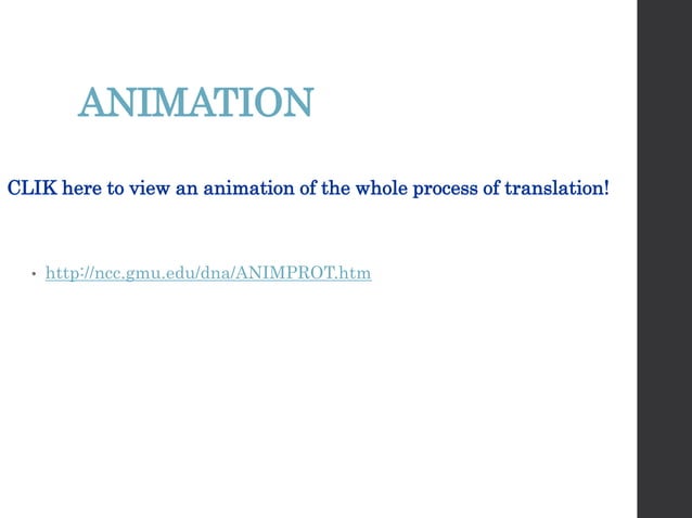 protein-synthesis.ppt | Programming Languages | Computing