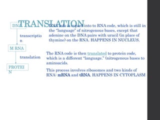 protein-synthesis.ppt