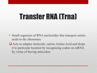 Protein synthesis | PPTX