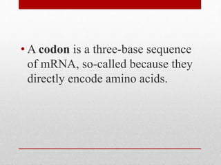 Protein synthesis | PPT