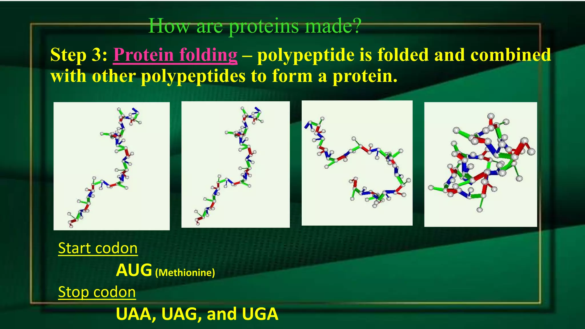 Protein-Synthesis.pptx