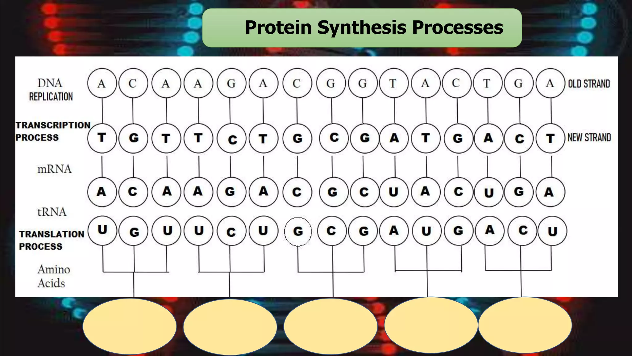 Protein-Synthesis.pptx