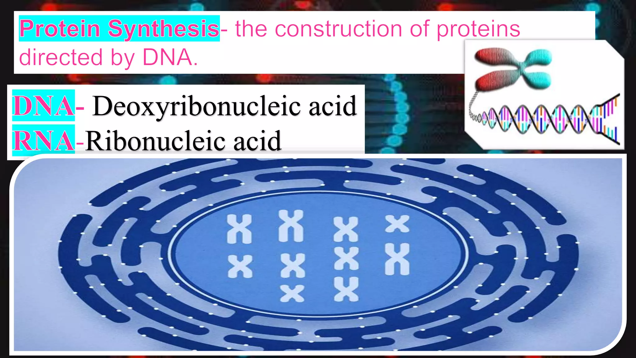 Protein-Synthesis.pptx