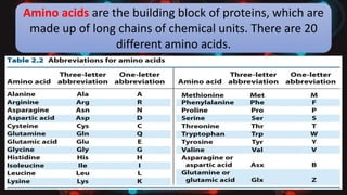 Protein-Synthesis.pptx