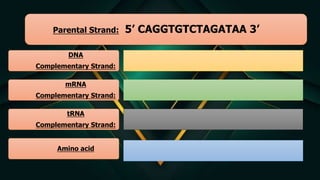 Protein-Synthesis.pptx