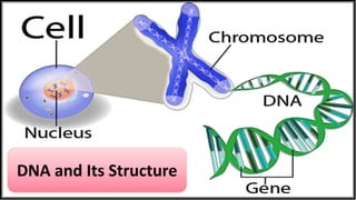 Protein-Synthesis.pptx