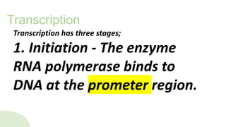 Protein-Synthesis-Cell-Division-PPT-1.pptx