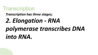 Protein-Synthesis-Cell-Division-PPT-1.pptx