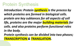 Protein-Synthesis-Cell-Division-PPT-1.pptx