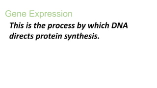 Protein-Synthesis-Cell-Division-PPT-1.pptx