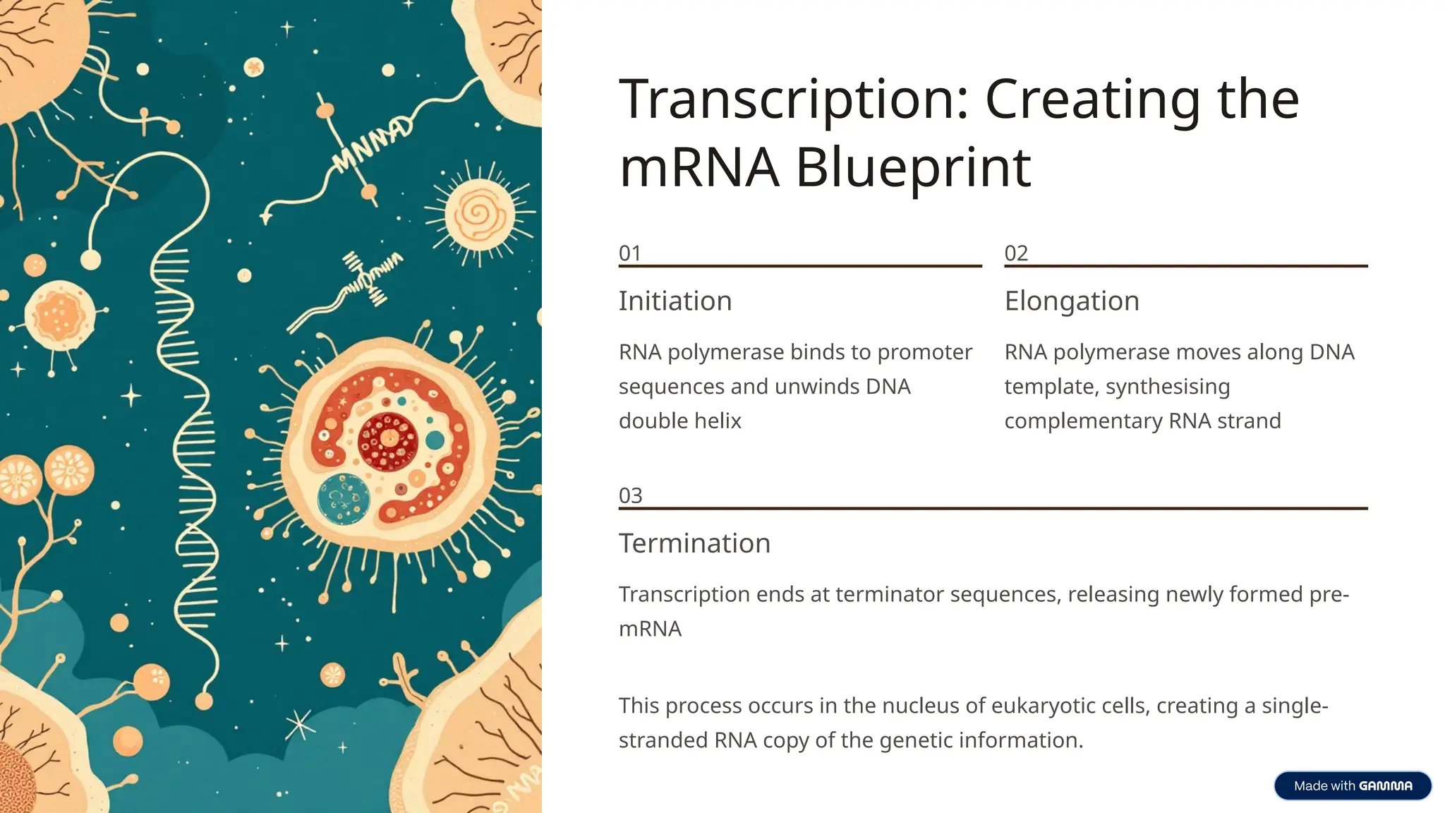 Protein-Synthesis-From-DNA-to-Functional-Proteins.pptx