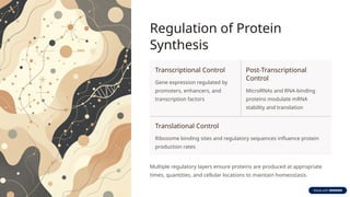 Protein-Synthesis-From-DNA-to-Functional-Proteins.pptx