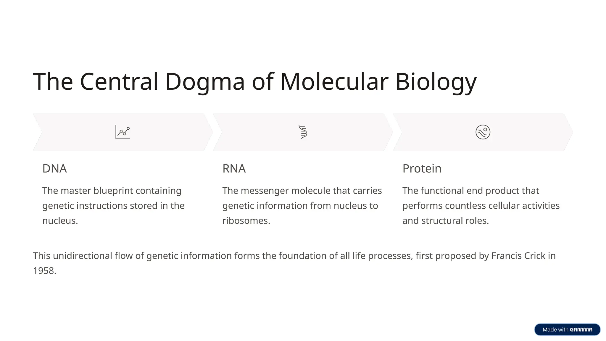 Protein-Synthesis-From-DNA-to-Functional-Proteins (1).pptx