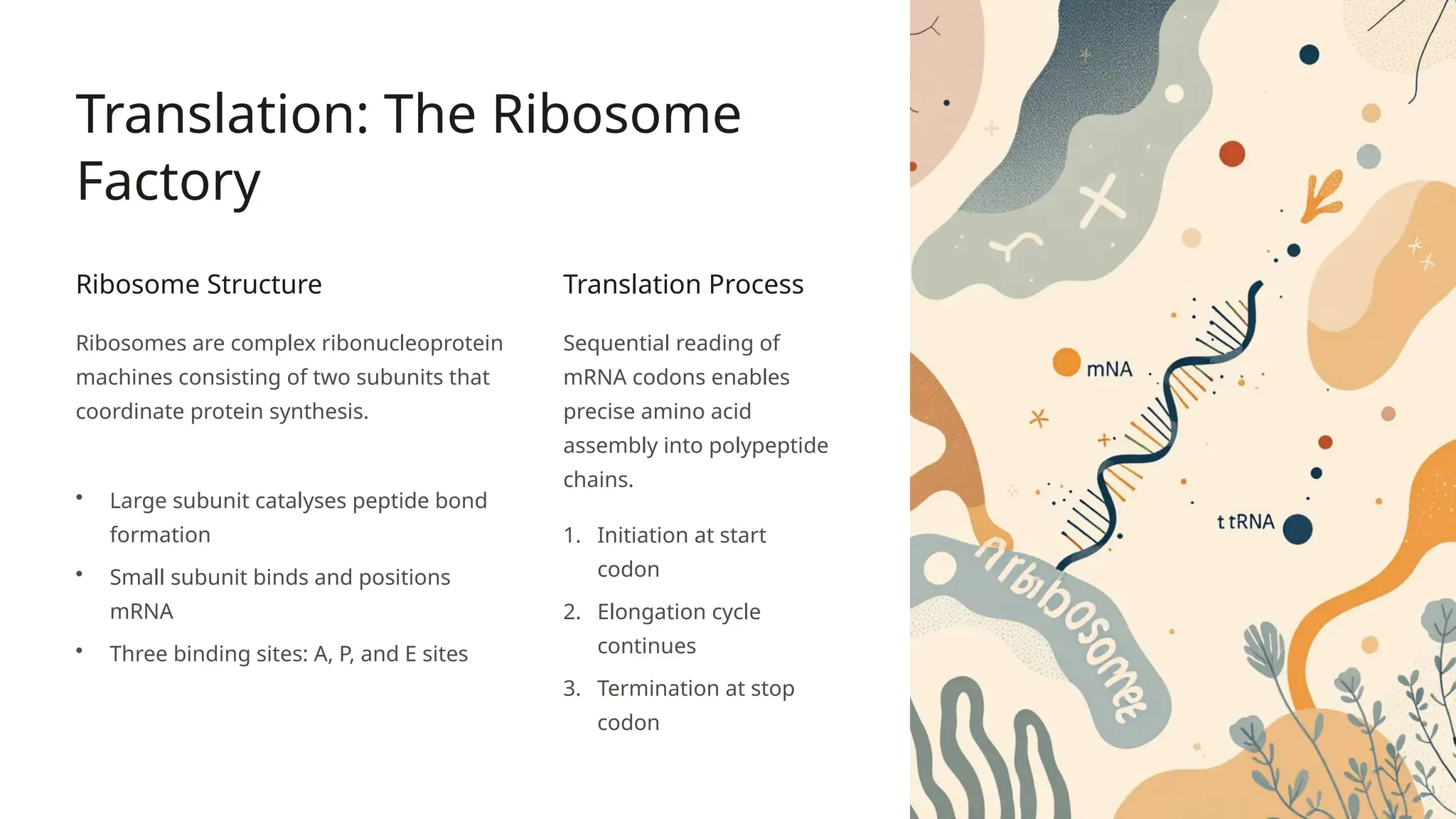 Protein-Synthesis-From-DNA-to-Functional-Proteins (1).pptx