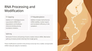 Protein-Synthesis-From-DNA-to-Functional-Proteins (1).pptx