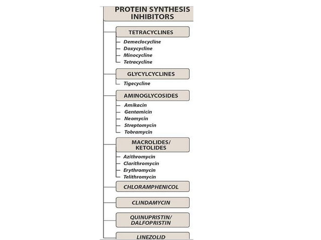 Protein-synthesis-inhibitors.pptx....... | PPTX