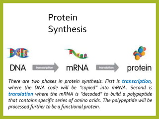Protein-Synthesis PPTX SCIENCE10 third quarter | PPT