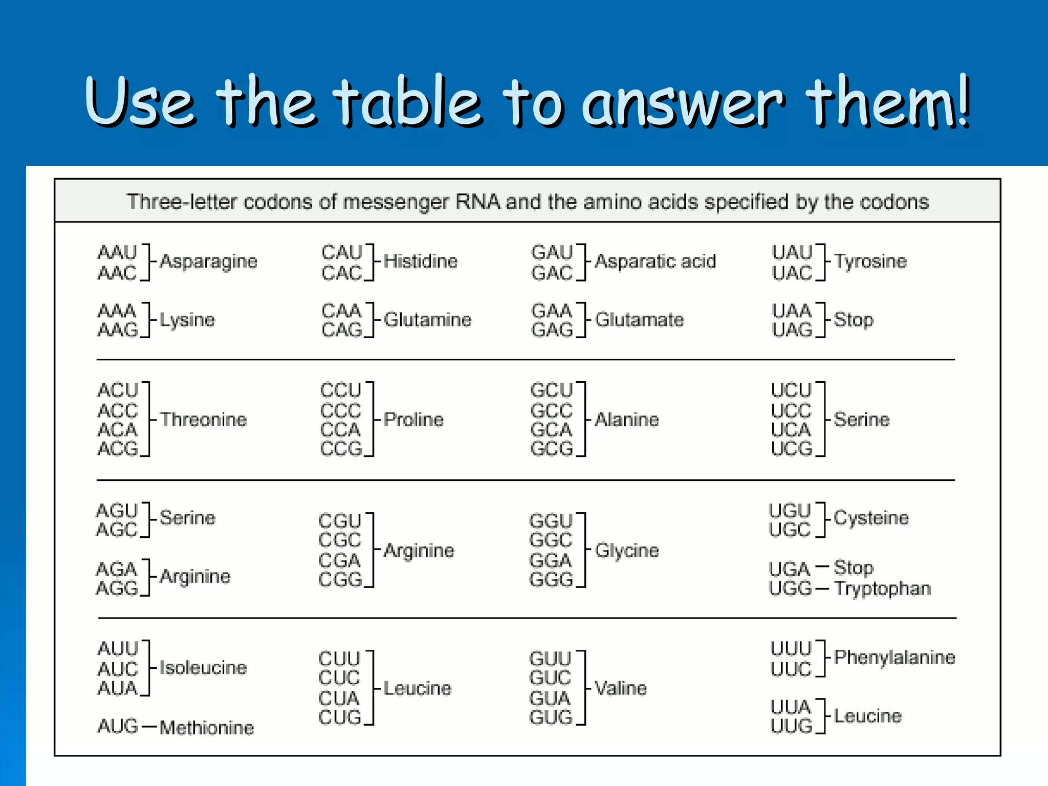 Protein Synthesis Practice | PPT