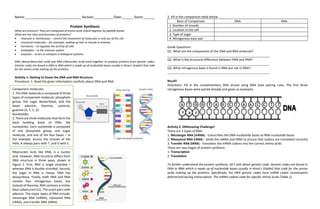 Protein Synthesis Worksheet for Grade 10 | DOCX