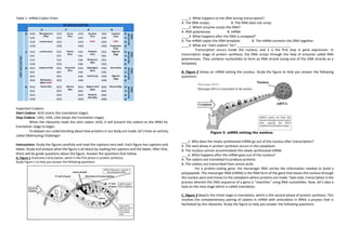 Protein Synthesis Worksheet for Grade 10 | DOCX