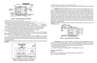 Protein Synthesis Worksheet for Grade 10 | DOCX
