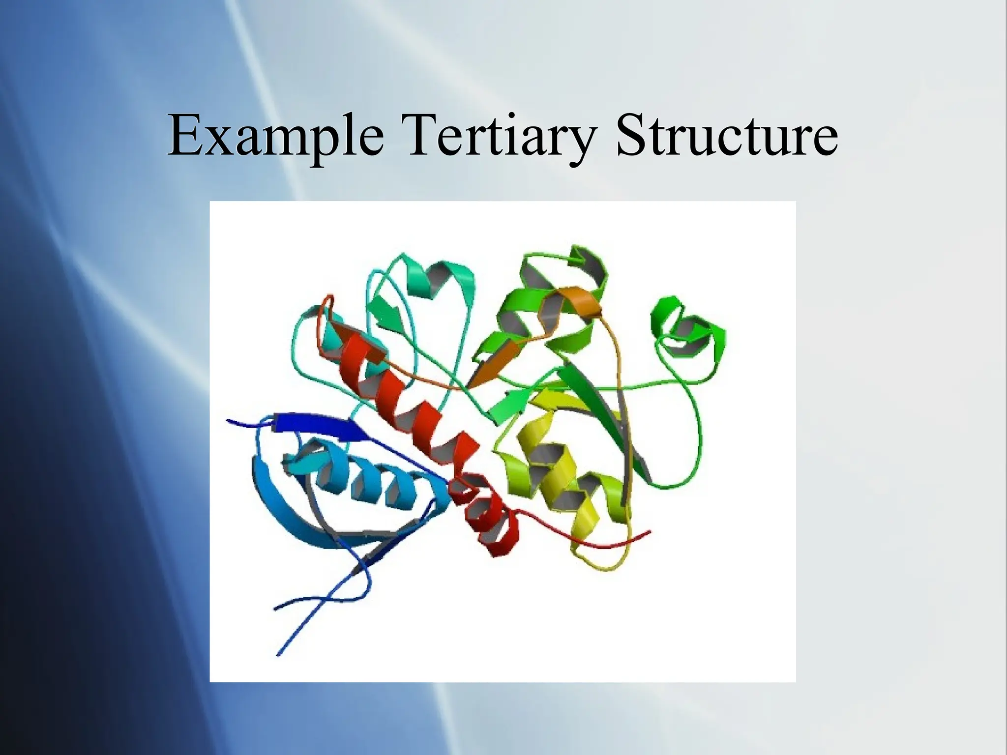 Protein and its structure- a general description.ppt