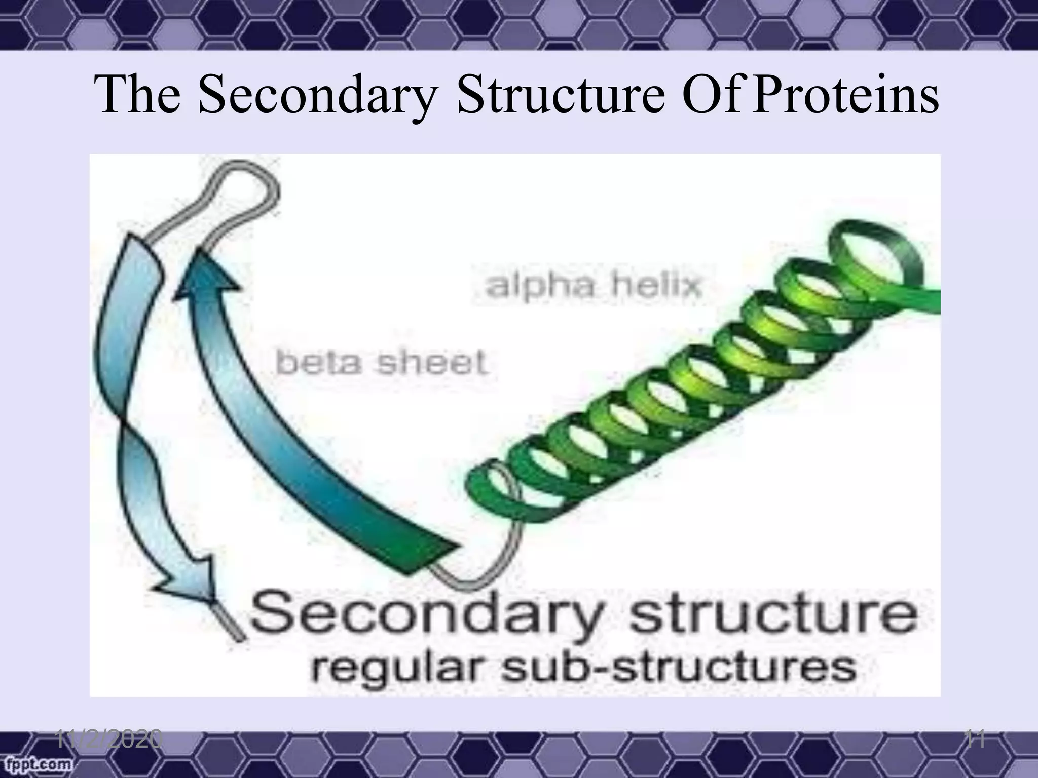 Protein ( introduction, classification, properties, structure ...