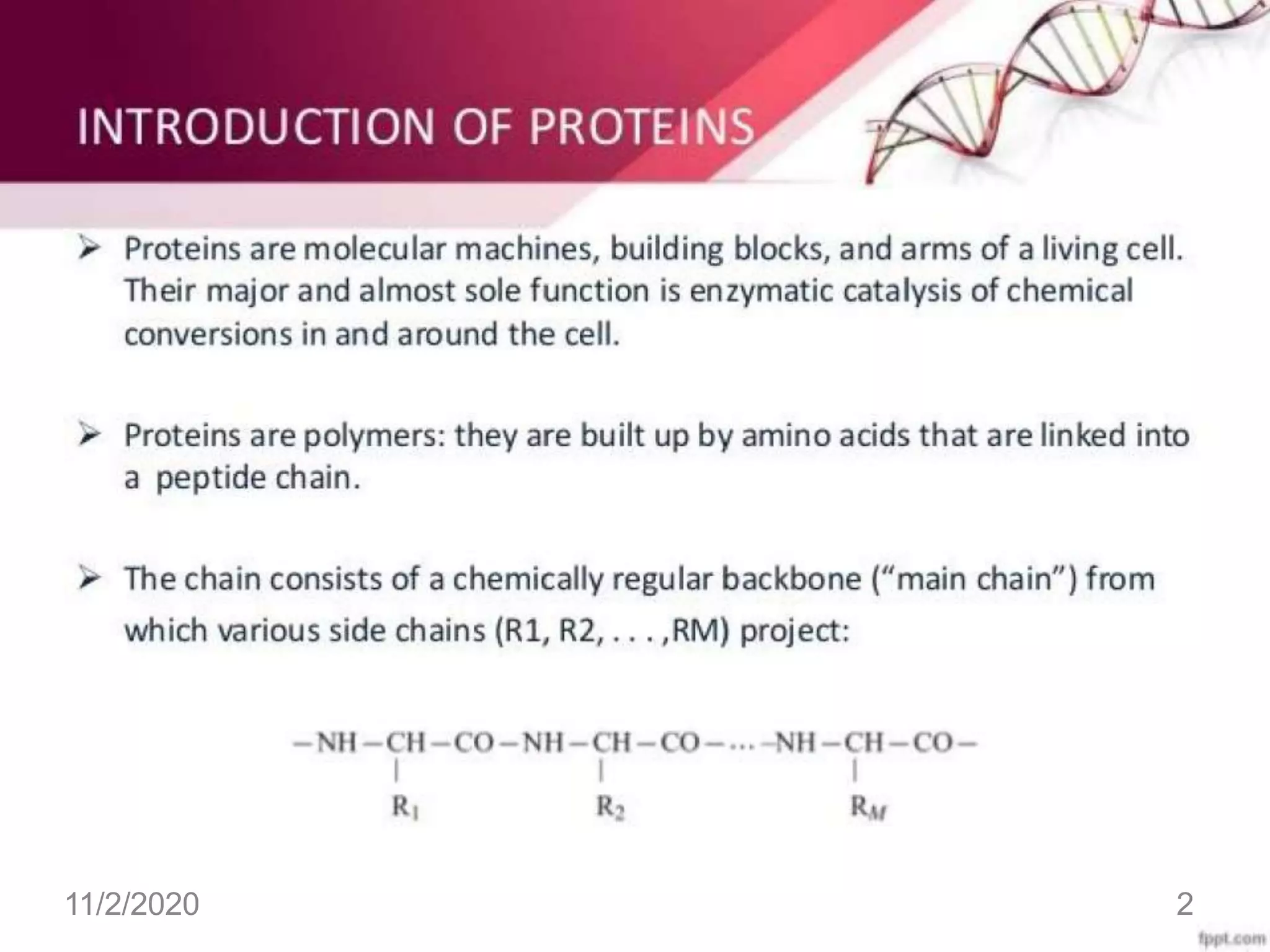 Protein ( introduction, classification, properties, structure ...