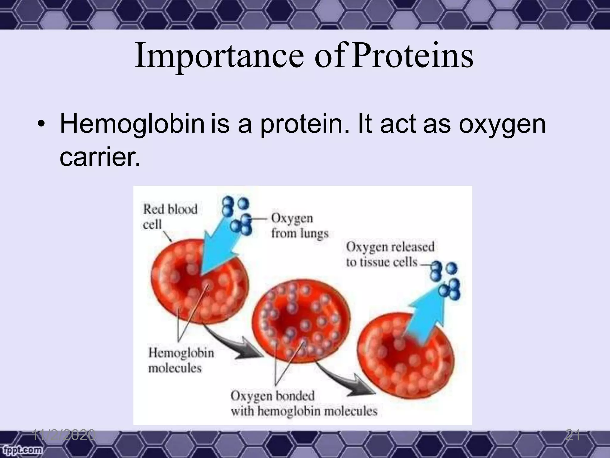 Protein ( introduction, classification, properties, structure ...