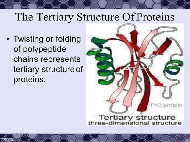 Protein ( introduction, classification, properties, structure ...
