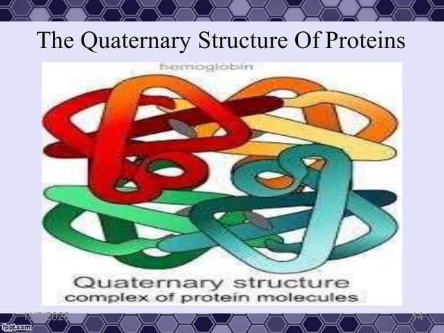 Protein ( introduction, classification, properties, structure ...