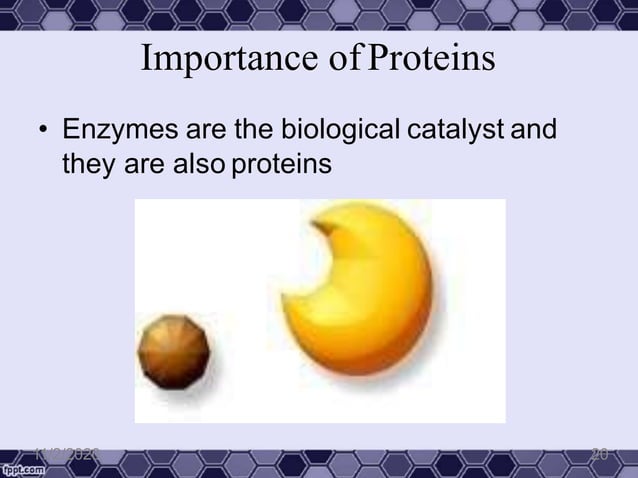 Protein ( introduction, classification, properties, structure ...