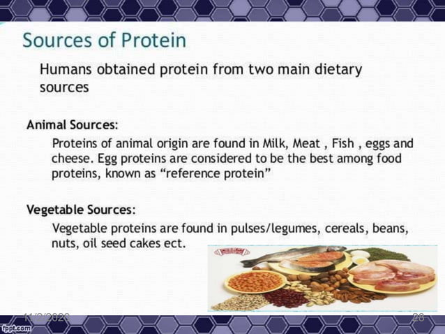 Protein ( introduction, classification, properties, structure ...