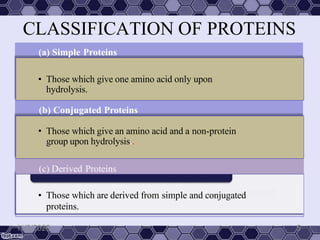 Protein ( introduction, classification, properties, structure ...