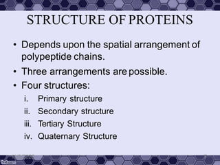 Protein ( introduction, classification, properties, structure ...