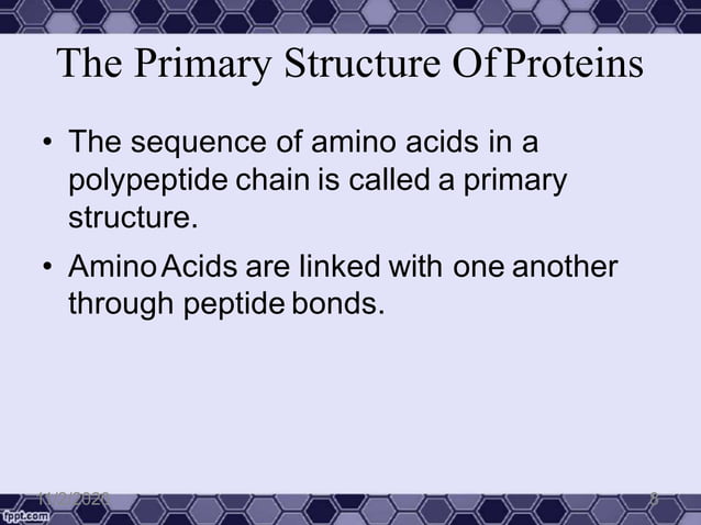 Protein ( introduction, classification, properties, structure ...