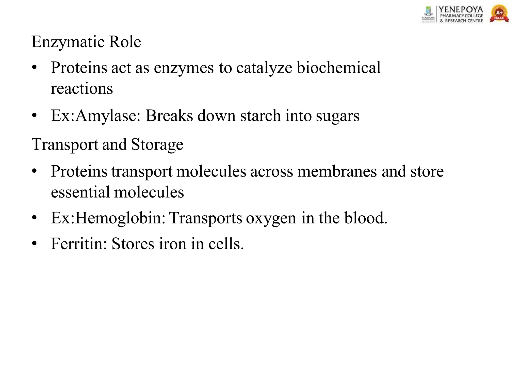 Proteins: Classification, Structure, and Biological Roles | PDF
