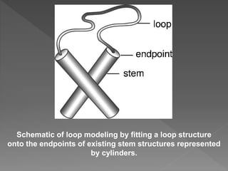 Protein 3 d structure prediction | PPTX