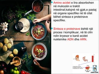 ROLI I PROTEINAVE NE ORGANIZMIN E NJERIUT | PPT
