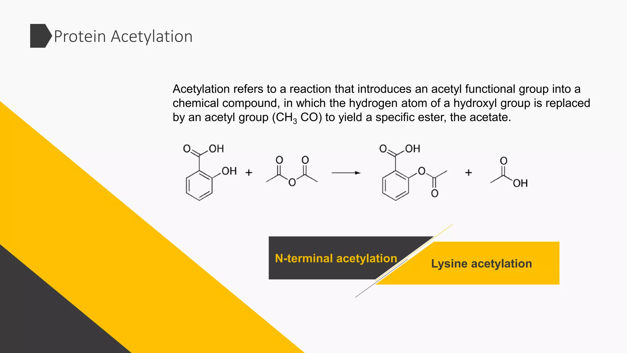 Introduction of Protein Acetylation | PPTX