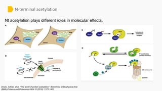 Introduction of Protein Acetylation | PPTX